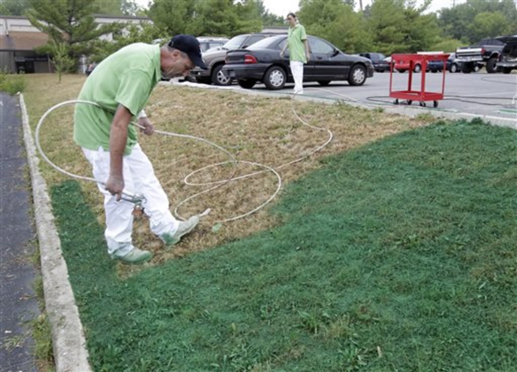 Lawn turning brown Call the turf painters